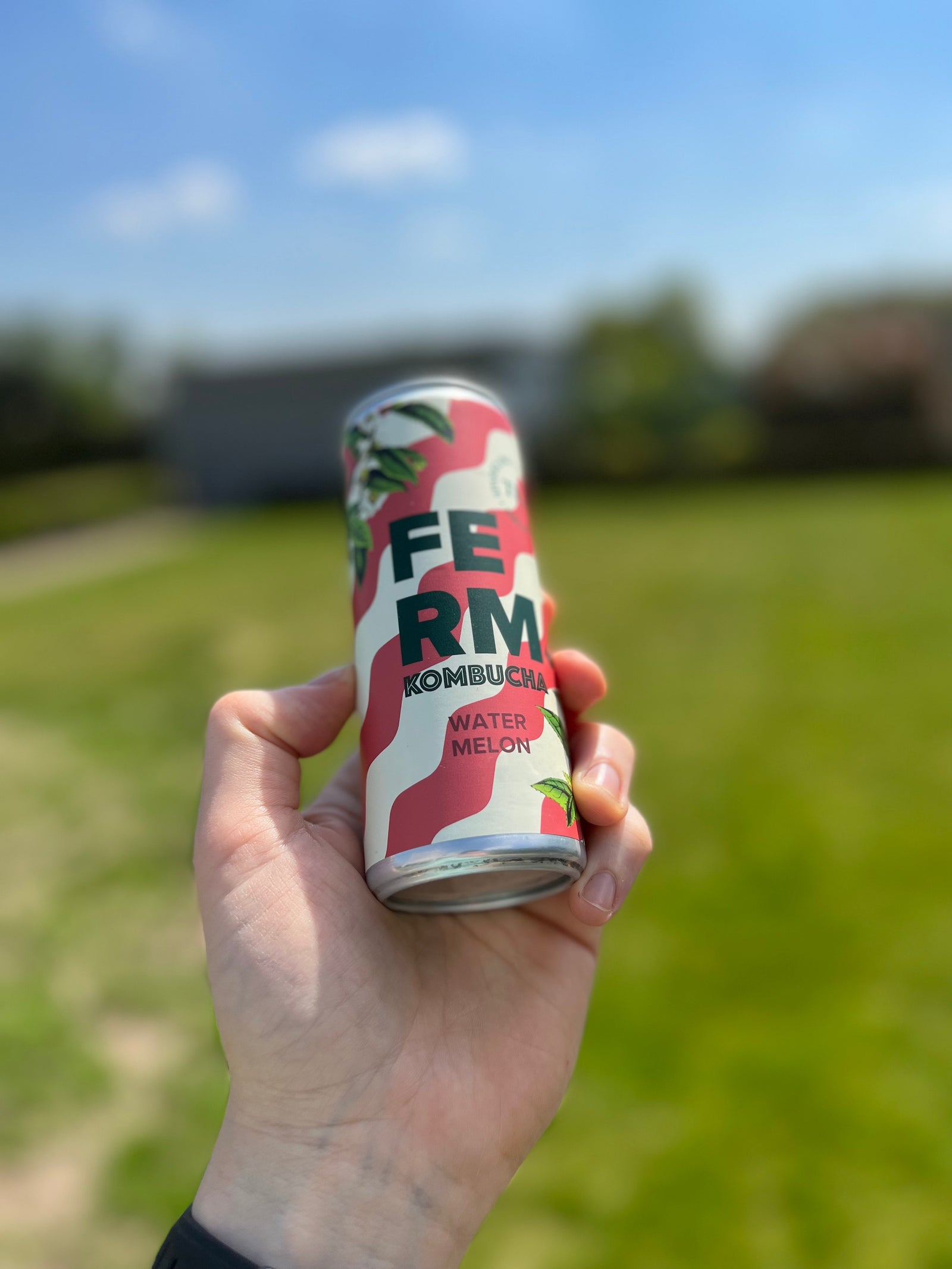 Our Shop - Ferm Kombucha